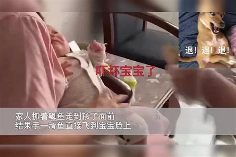 宝宝过百天被安排和鲫鱼亲嘴，结果鱼一滑飞到宝宝脸上，表情亮了