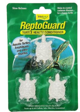 Turtle Shell Peeling Do Turtles Shed TurtleHolic