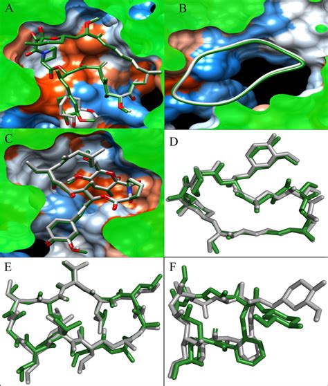 Superimpositions Of Binding And Minimized Conformations Compared To
