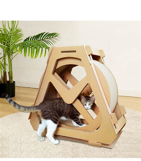 Kattenreuzenrad Loopband Voor Katten Wiel Voor Actieve Katten