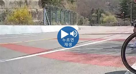 악혐 피반령 바이크 사망 사고 유머움짤이슈 에펨코리아