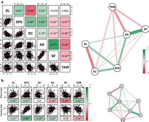 Correlations Among The Investigated Spike And Kernel Characteristics A Download Scientific
