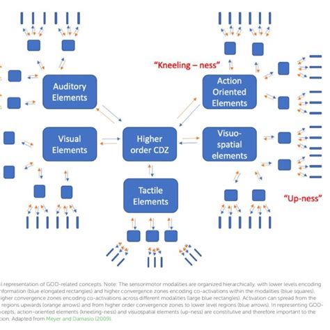 A Response Accuracy Logit As A Function Of Congruence B Log