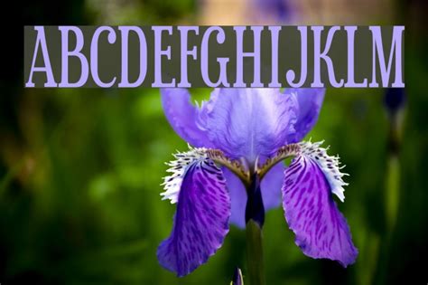 Sexsmith Font