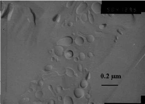 Transmission Electron Micrograph Of Freeze Fractured Sample Composed Of
