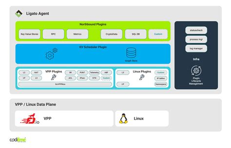 How To Build CNFs Using Ligato Framework CodiLime