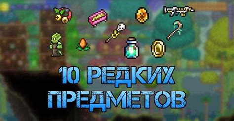 10 самых редких предметов в Террарии