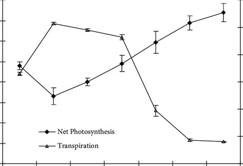 Mean Values Of Net Photosynthesis And Transpiration During