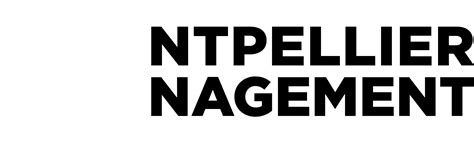 Logo Et Charte Graphique Montpellier Management