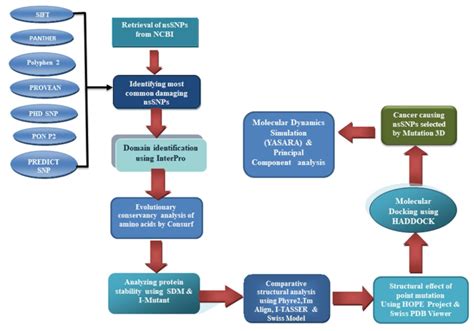 a workflow representing all the in silico tools utilized for the