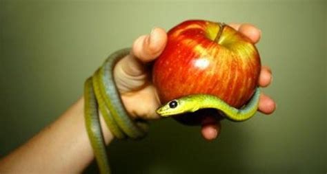 Sin La Iglesia De Dios Oficinas Internacionales