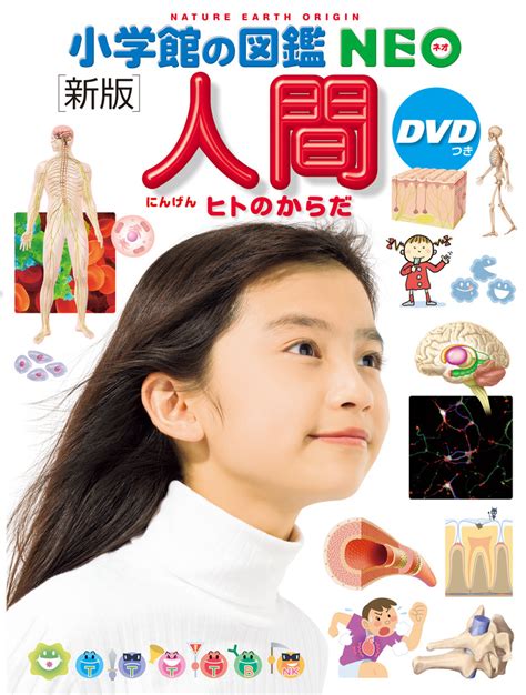新版 人間 DVDつき図鑑辞典こども書籍小学館