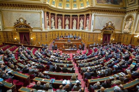 PLFSS la régulation des centres dentaires remise en cause par le Sénat L Information