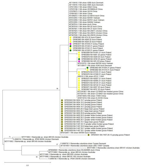 Pathogens Special Issue Emerging Animal Pathogens And Infections In