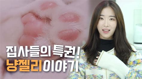 고양이 발바닥 젤리의 비밀 Youtube