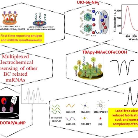 Electrochemical Biosensors Reported For Other Mirnas Detection