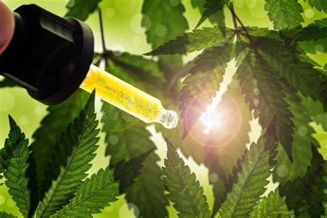 Dropper With Cbd Extract From Medicinal Hemp Cannabis Stock Photo Image Of Leaf Medicinal