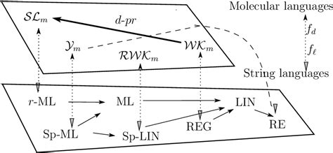 Figure 11 From A Study On Biologically Inspired Models Of Computation