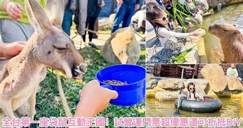 宜蘭私房景點｜2024宜蘭新景點｜蘭陽動植物王國～全台首座袋鼠互動區 試營運最低只要100元