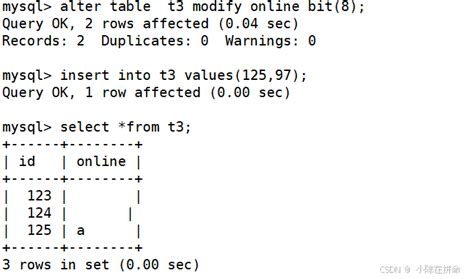 Mysql：mysql的数据类型mysql Tinyint Int Csdn博客