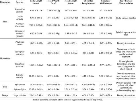 Posture Characteristics Of The Main Flower Visiting Insects For Download Scientific Diagram
