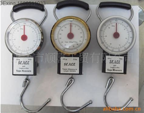 Mini Weighing Portable Spring Type Kitchen Portable Scale Luggage Scale