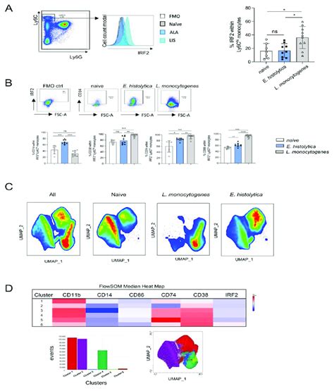 New Ly6c Hi Monocyte Subsets Identified According To Expression Of Download Scientific Diagram