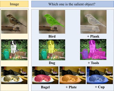 论文审查 Pluralistic Salient Object Detection