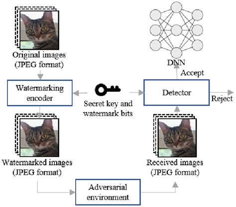 Figure From A Watermarking Based Framework For Protecting Deep Image Classifiers Against