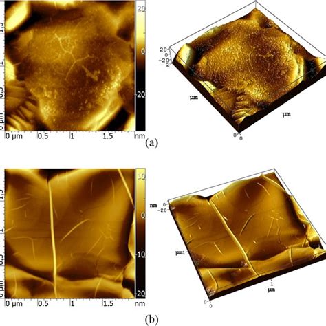 Raman Spectra Of Singledouble Layer Graphene Irradiated With 1×10