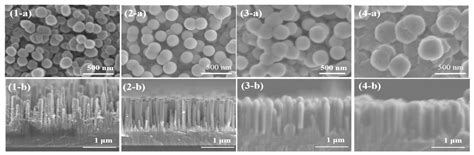 molecules free full text synthesis of azo coated zno core shell
