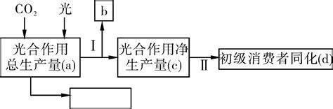 名师面对面第五章 第23节 生态系统的能量流动和物质循环模拟练习 新人教版必修3 word文档在线阅读与下载 无忧文档