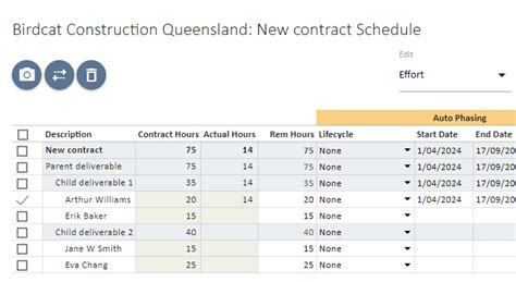 Resource Planning Within A Revenue Contract