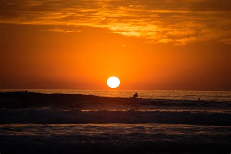 Jungles Edge Jiu Jitsu Muay Thai Surfing Yoga Retreats