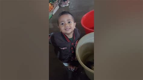 Senangnya Dedek Ilman Lihat Ikan Lele Youtube