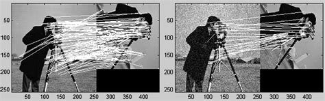 figure 1 from rotation invariant feature lines transform for image