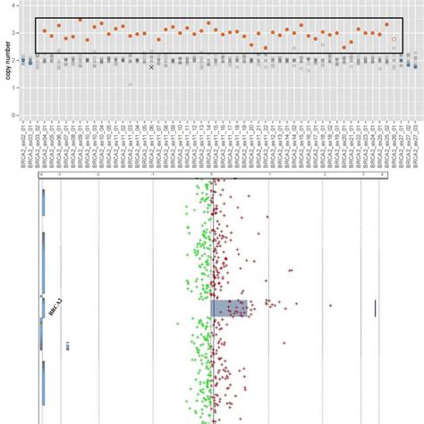 Pdf Fast Detection Of A Brca2 Large Genomic Duplication By Next Generation Sequencing As A