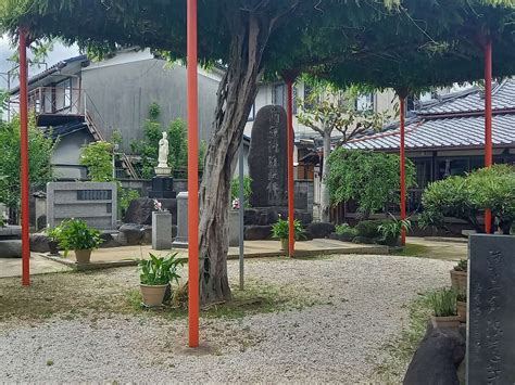 京都府木津川市町N様邸宅 お寺 の庭の剪定をしました植木屋京都みなみ園 ブログ 京都で植木屋なら経験豊富な京都植木屋本舗みなみ園