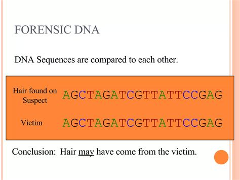 Dna Fingerprinting And Forensic Applications Ppt
