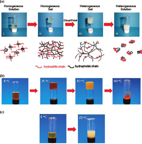 A Suggested Lcst Phase Transition Model Sequential Phase Transitions Download Scientific