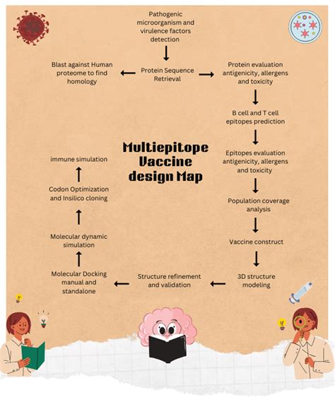 Guide To Multiepitope Vaccine Design With Bioinformatics Tools