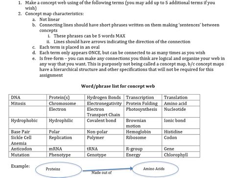 Genes Mutations Proteins And Traits Concept Map Danica Dominique