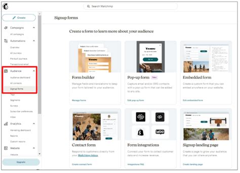 How To Use Mailchimp Everything Beginners Must Know 2024