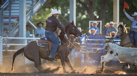Whos Leading Your Circuit Pro Rodeo Circuit Finals Details Sports