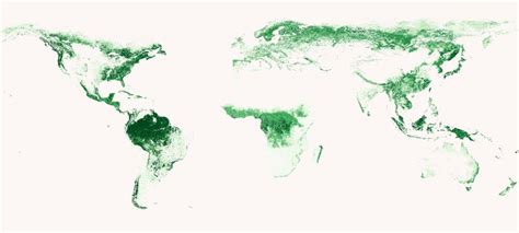 Simran Singh On Linkedin Datavisualization Python Forest