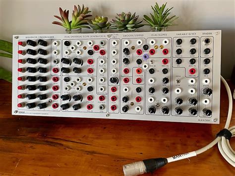 serge random source mantra reverb