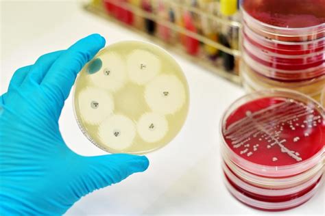Nanoparticles Help Enable Autonomous Pathogen Biosensor For Food
