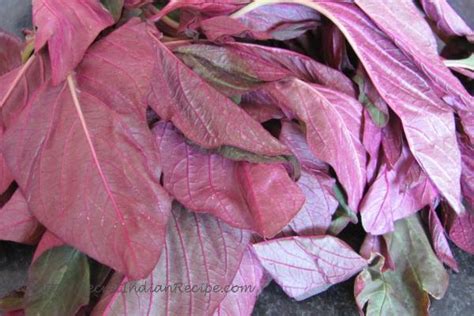 How To Make Cheera Sambar Red Spinach Sambar Indian Recipes