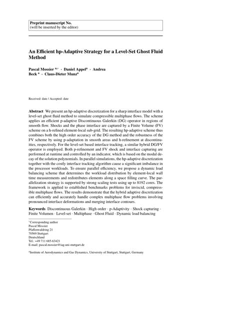 Pdf An Efficient Hp Adaptive Strategy For A Level Set Ghost Fluid Method