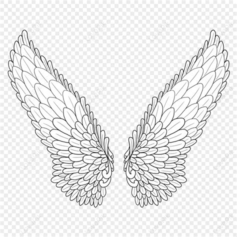 Extended Decorative Wings Feather Wings Feather Decorative Sketch Png